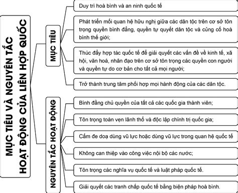 Giải Sgk Lịch Sử 12 Bài 1 Chân Trời Sáng Tạo Liên Hợp Quốc