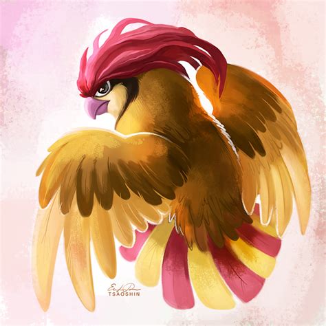 Pidgeotto Pokémon Image by TsaoShin 2029806 Zerochan Anime Image