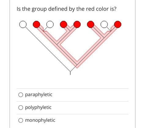 Solved Is The Group Defined By The Red Color Is