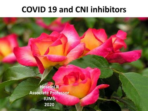 Covid 19 And Cni Inhibitors Ppt