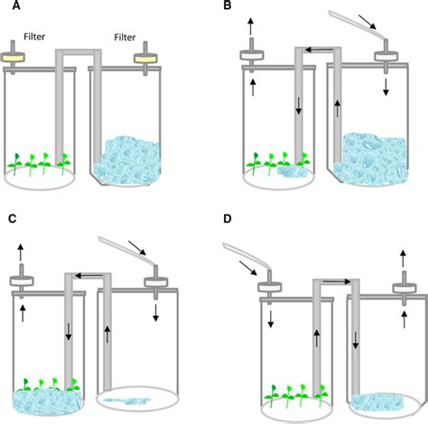 Two‐flask Bioreactor A The Liquid Medium Is In A Separate Flask From Download Scientific