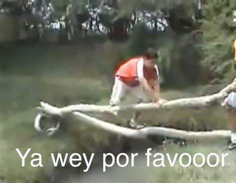Ya Wey Por Favor😞 Memes Para Contestar Reacciones Para Responder