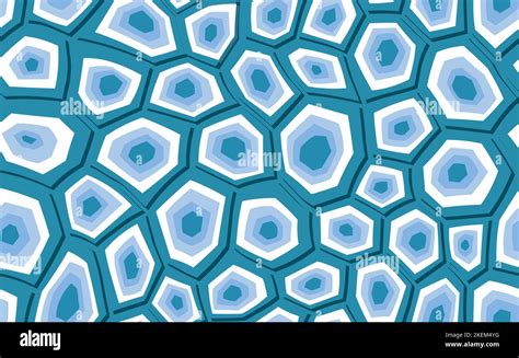 Turtle Shell Texture Drawing