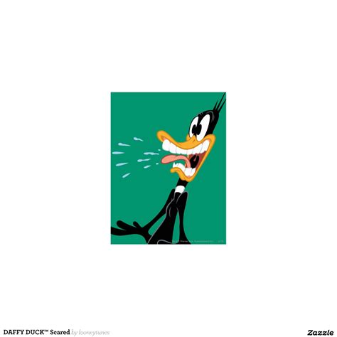 Daffy Duck™ Scared Postcard Zazzle