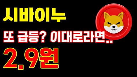 시바이누 코인 급등 랠리 3일차 진짜 대박입니다 이대로라면 시바이누 시바이누코인 시바이누분석 코인 Shiba Youtube