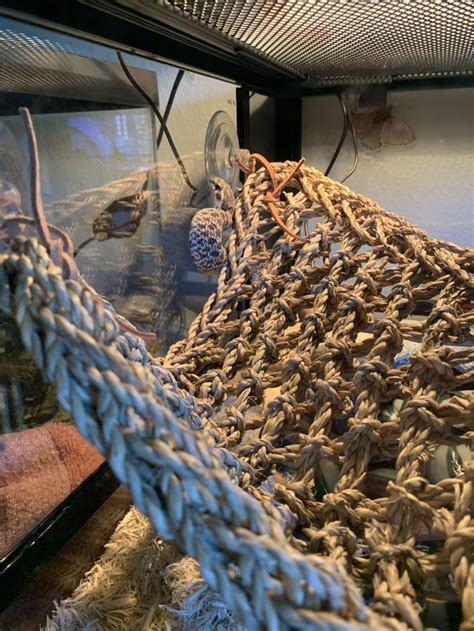 My Usually Shy Boy Has Been Active All Day The Day I Graduated High