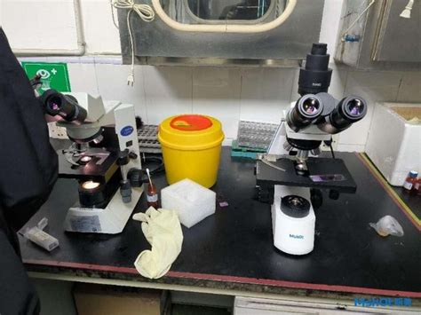 显微镜下观察到的血液细胞生物器材网