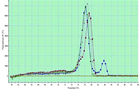 Reverse Real Time Transcription Pcr For Amplification Of S Aureus Seg Download Scientific