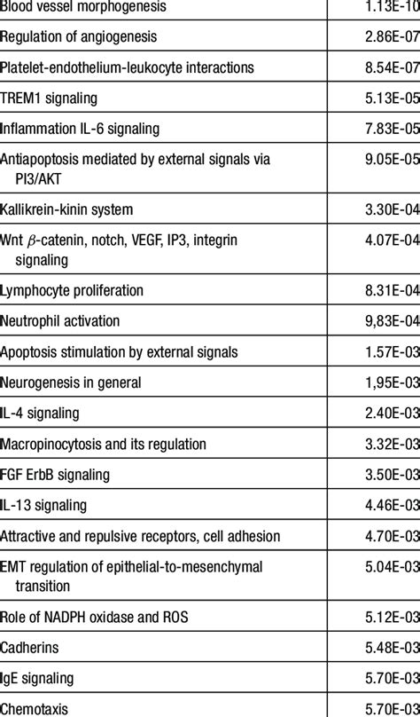 Metacore Tm Analysis Of Significantly Overlapping Pathway Networks