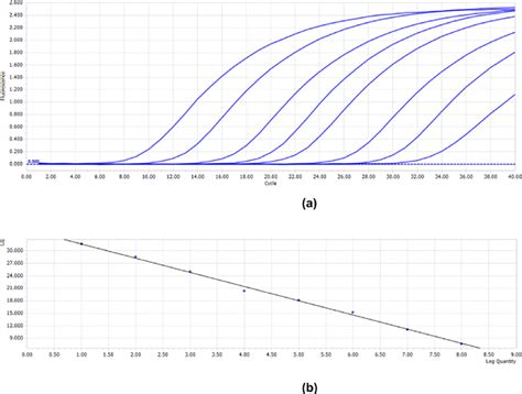 Standard Curve Analysis Of A Standard Plasmid Containing A Gene Of