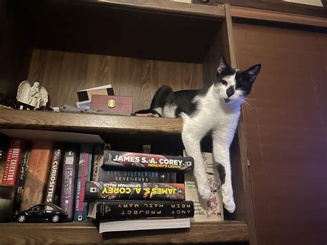 He Dangle R Danglers