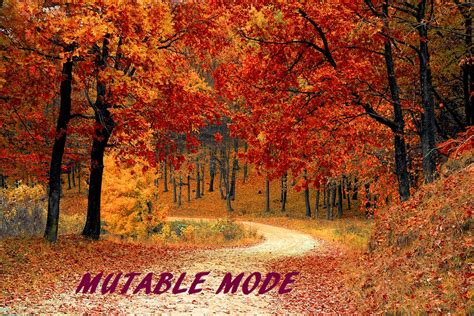 Mutable Mode Mutable Signs Are Sagittarius Pisces By Ewa Krajewska