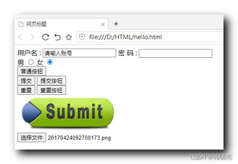 【html】html 表单 ② 按钮表单 普通按钮 提交按钮 重置按钮 图片按钮 文件域