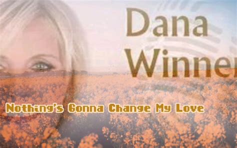 廊桥遗梦主题曲dana Winner 丹娜·云妮 比利时天籁女歌手翻唱 争气朋克仙贝君 金曲 哔哩哔哩视频