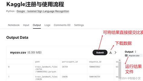 kaggle的注册与云端运行技巧 kaggle怎样在线运行 csdn博客