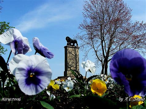 390 Прикольні шпалери на робочий стіл Весна Hd Скачати Безкоштовно фото