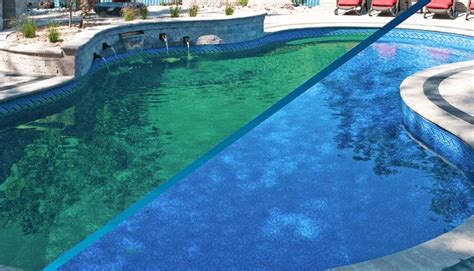 How To Prevent And Get Rid Of Pool Algae Latham Pool