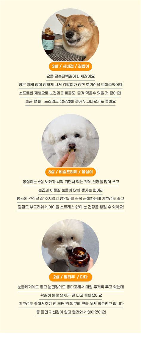눈 눈물 쿠키 간식 영양제 애니먼 잘보일걸