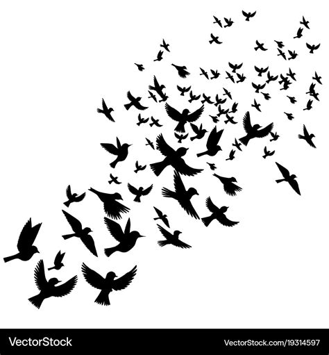 Flying Birds Silhouettes Royalty Free Vector Image