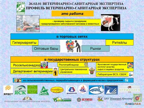 Ветеринарно санитарная экспертиза презентация онлайн