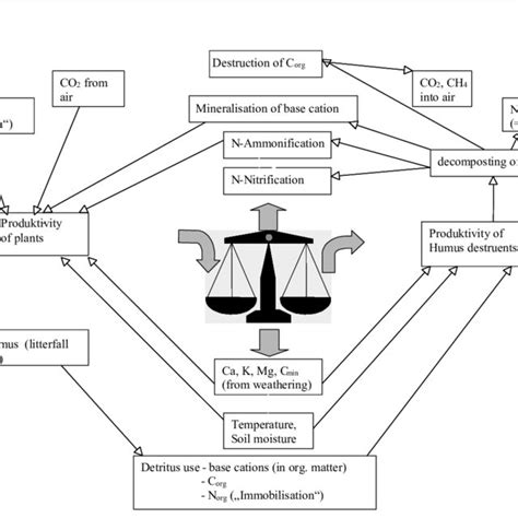 Nutrient Cycle In Semi Natural Ecosystems Oder Nutrient Cycle