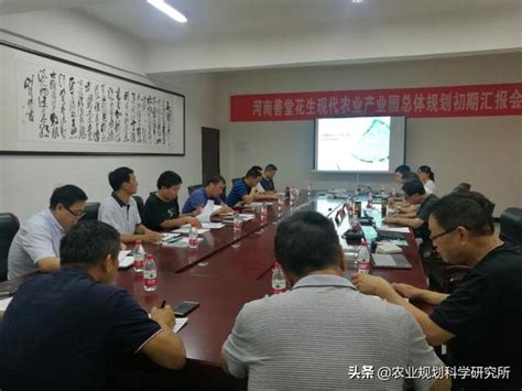 《河南善堂花生（特色小鎮）現代農業產業園總體規劃》 初期匯報會順利完成 每日頭條