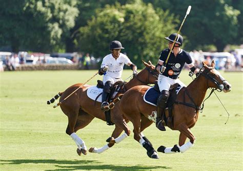 News And Events Dhamani