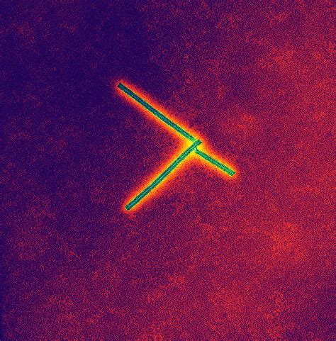 Tobacco Mosaic Virus Tem Photograph By Hazel Appleton Centre For