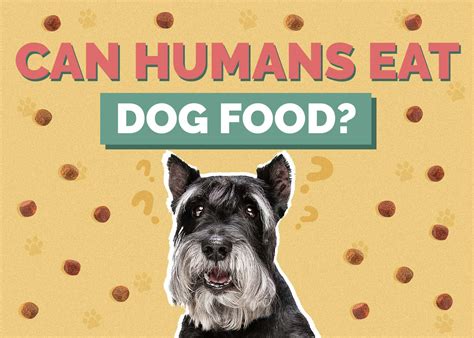 Can Humans Eat Dog Food Safety And Health Facts Hepper Pet Resources