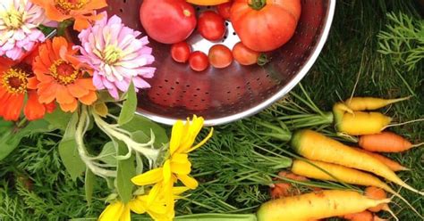 10 Easy Things First Time Gardeners Should Grow Bonbon Break