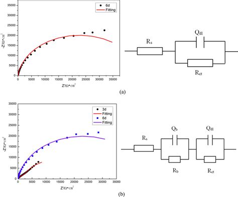 The Equivalent Circuit Models Used To Fit The Eis Experimental Data For