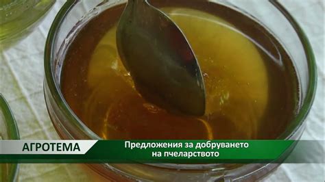 Агротема Предложения за добруването на пчеларството Youtube