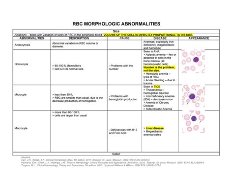 Rbc Morphologic Abnormalities Rbc Morphologic Abnormalities Size
