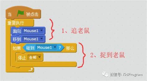 Scratch实例 2、猫捉老鼠 少儿编程