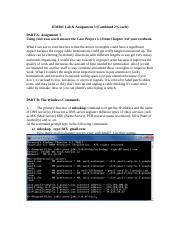 Itm Lab Assign Doc Itm Lab Assignment Combined Each