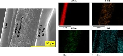 Cross‐sectional Scanning Electron Microscopy Sem Image Of The Download Scientific Diagram