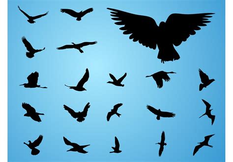 Vector Birds Download Free Vector Art Stock Graphics And Images