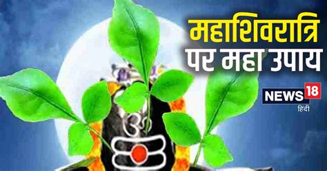 Mahashivratri 2023 Simple And Surefire Astro Measure Of Belpatra Lord
