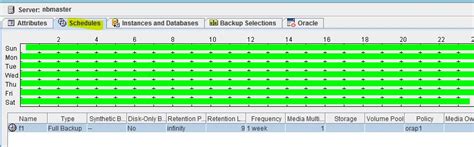 remote infrastructure management oracle rman backup using netbackup 8 1 2