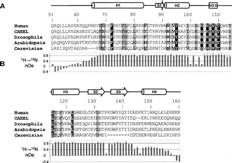 A Multiple Sequence Alignment Of Five Kin17 Proteins Human Homo Download Scientific