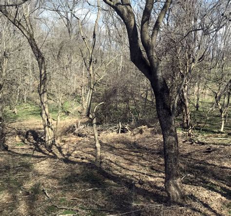 Grasshopper Enterprise Llc Landscape And Tree Service Company In Central Virginia