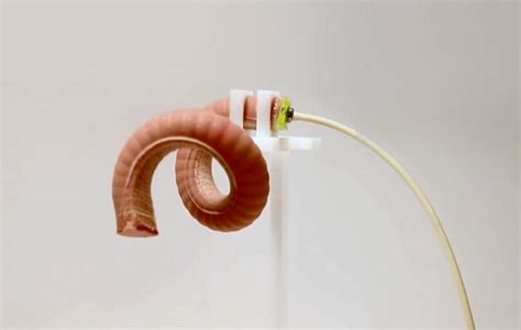 Engineers Control Soft Robots With Magnetic Fields — Born To Engineer