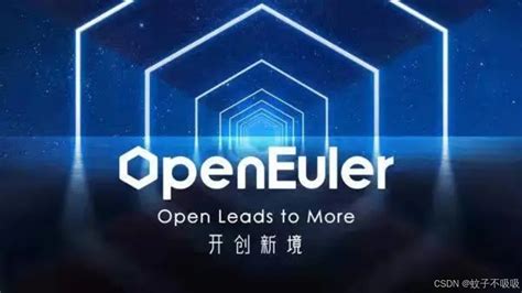 国产开源系统openeuler 24 03 lts部署安装 基础配置 验证连接实操手册 openeuler 24 03 lts csdn博客