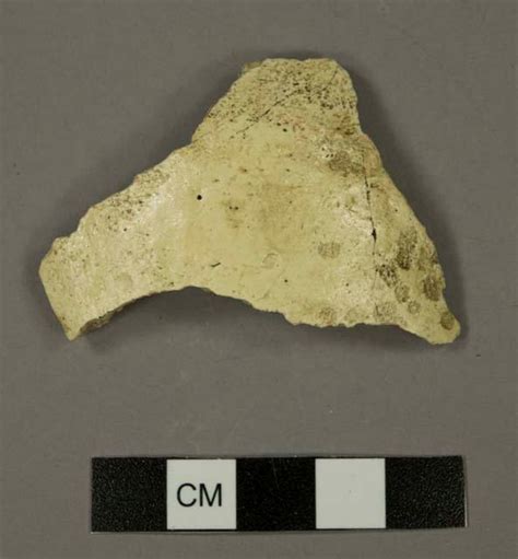 Australopithecus Afarensis Objects Emuseum