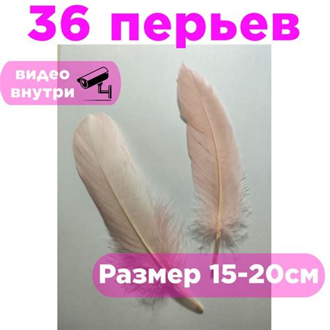 Перья гусиные натуральные 15-20 см 36 шт. Перо натуральное гусиное ...