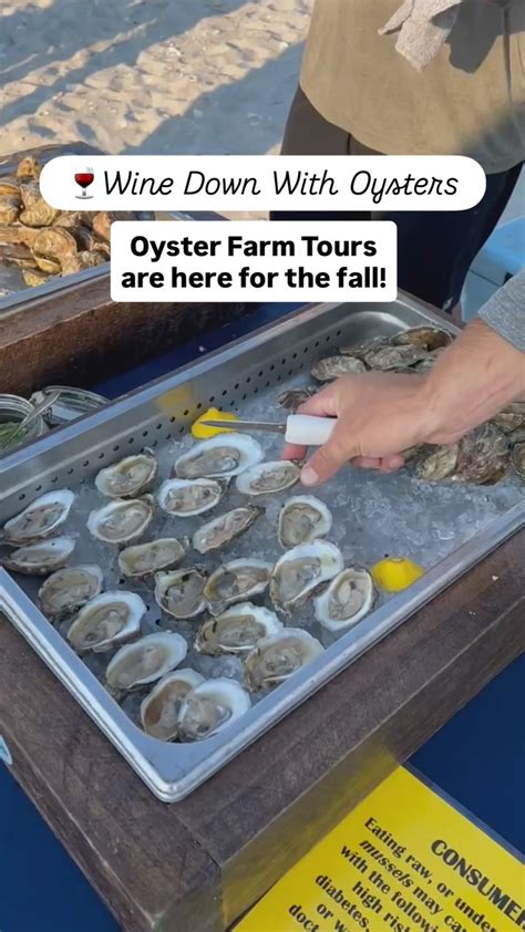 Wine Oysters And Water Views Yes Please 🦪🍷🌊 Complimentary Wine With
