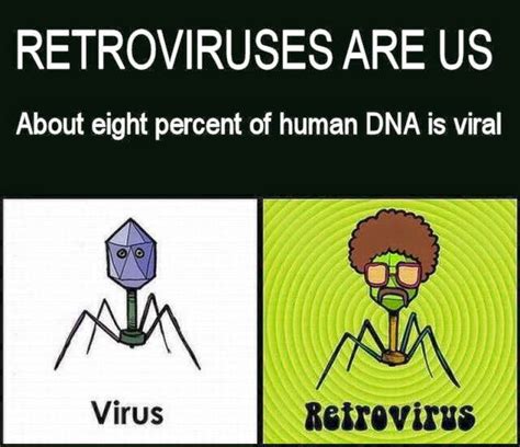 Medical Laboratory And Biomedical Science Retroviruses Are Us