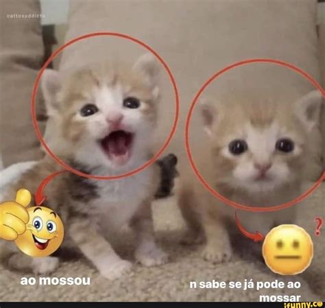 Ao mossou sabe se já pode ao mossar iFunny Brazil