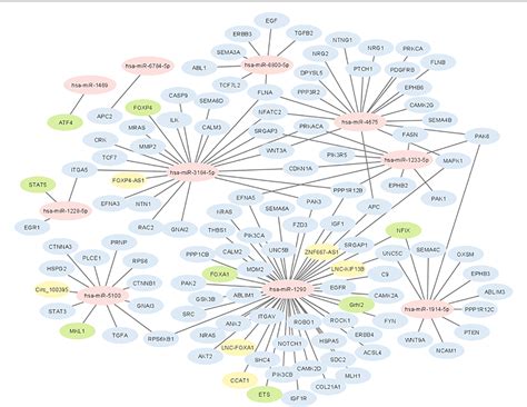 Figure 1 From Identifying Potential Circulating Mirna Biomarkers For