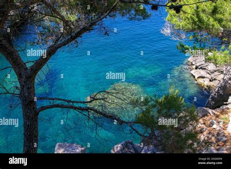 Deep Insight Hi Res Stock Photography And Images Alamy